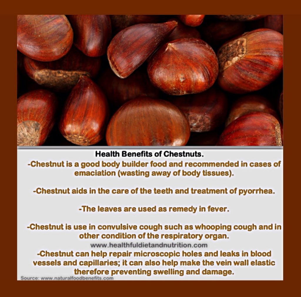 Chestnut Benefits🌰 | MyHealthfulDiet.Com