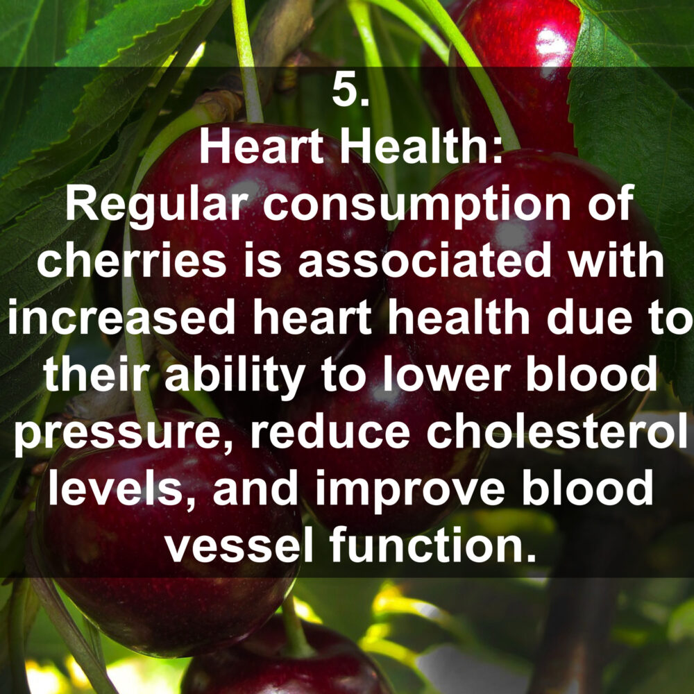 10 Benefits of Cherries | MyHealthfulDiet.Com