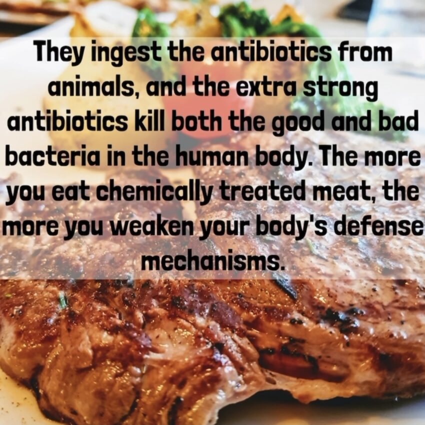 Choose a Healthy Meat | MyHealthfulDiet.Com