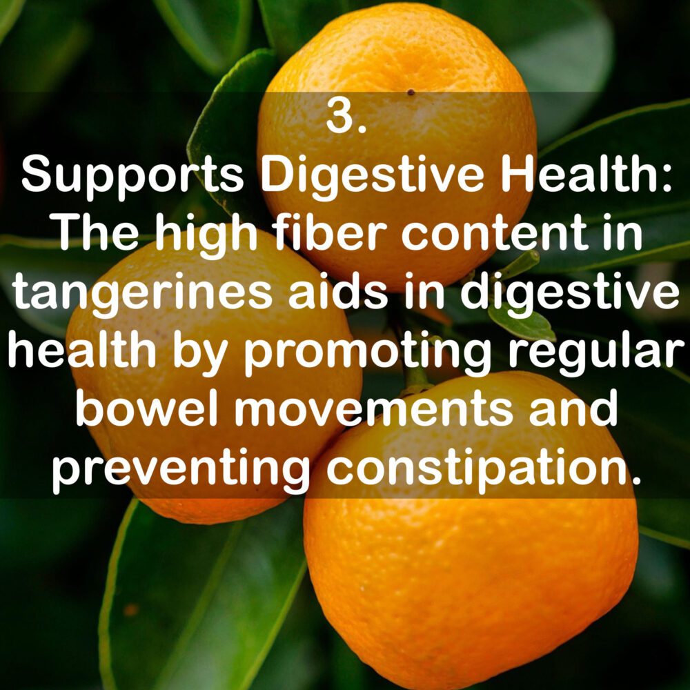 10 Benefits of Tangerine | MyHealthfulDiet.Com